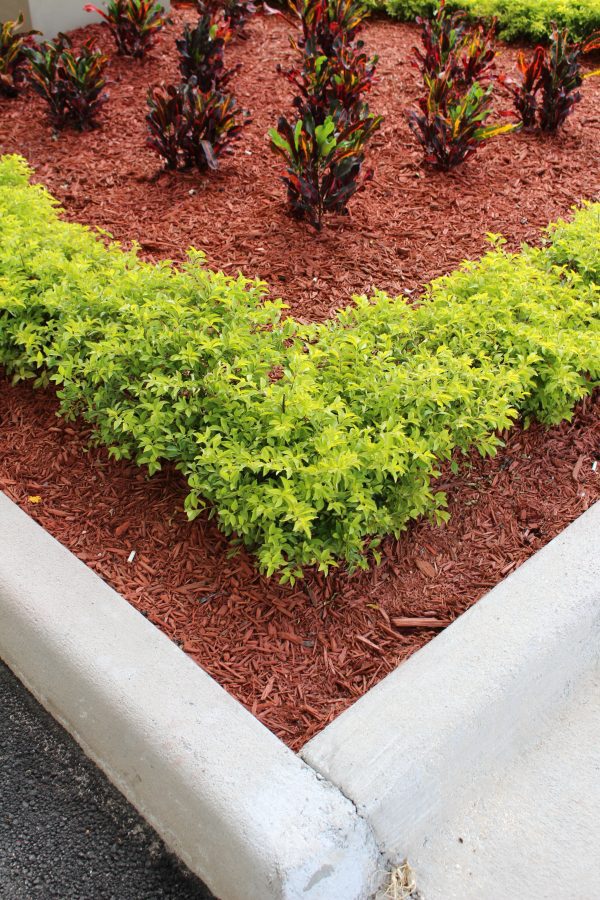 Contact Us | McCollum Trucking and Grading | Monroe, NC